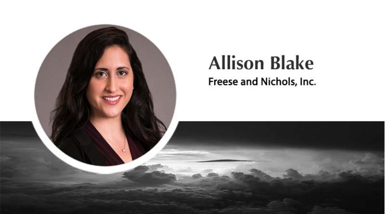 allison blake - American Infrastructure